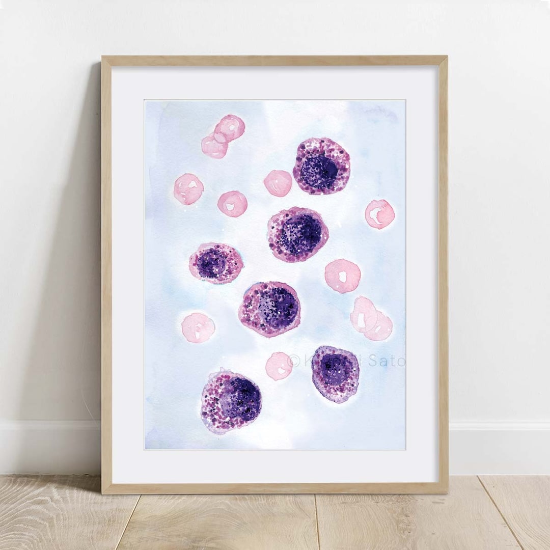 Mast Cells, Blood Cells, Biology Poster, Science Art Print, Blood Cell ...