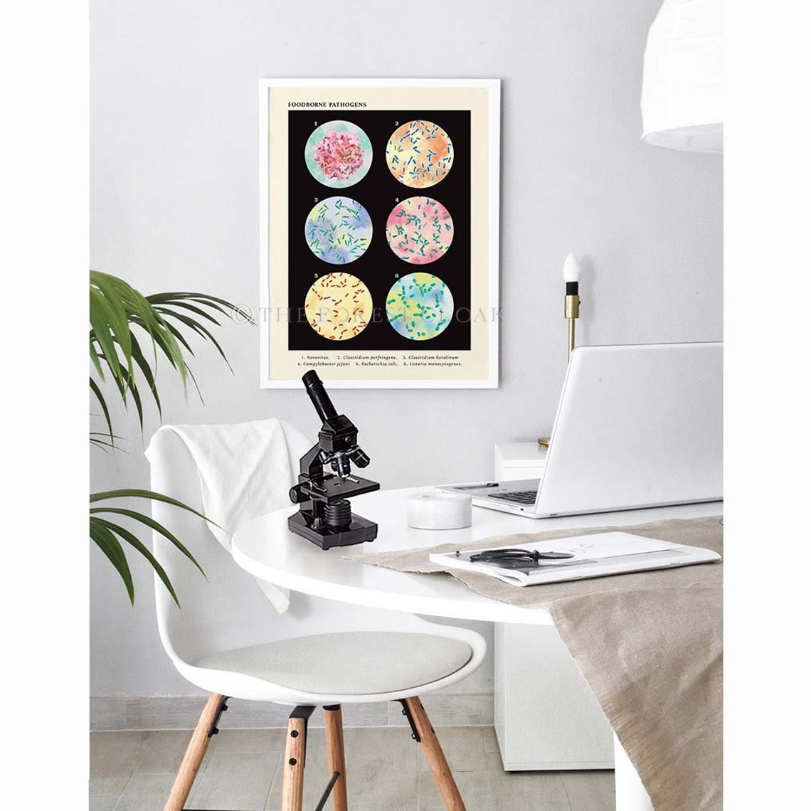 Foodborne Pathogens Collection Poster, Vintage Style Science Art ...