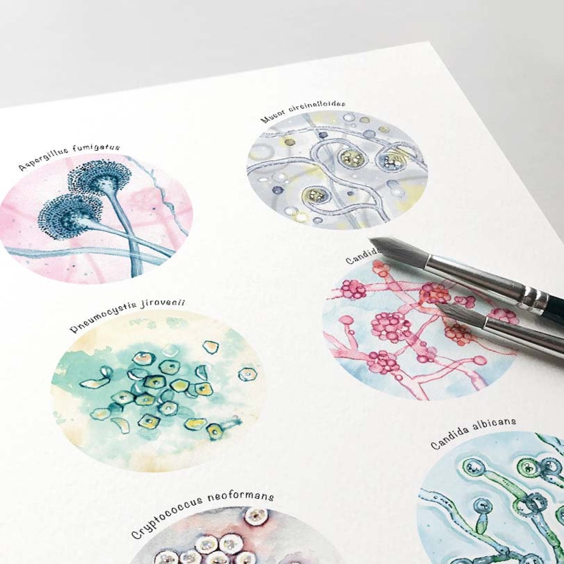 Opportunistic Fungal Infection Agents Collection Art Print - Etsy