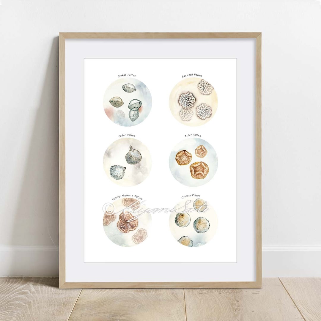 Pollen Collection Art Poster, Palynology Art, Microbiology Print ...