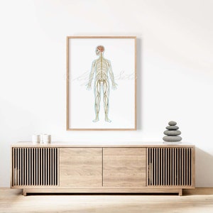 Nervous System Art Poster, Science Art, Biology Watercolor, Human ...