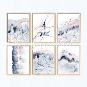 Dermatology Gallery Histology Art Poster Set of 6, Skin Anatomy Art ...