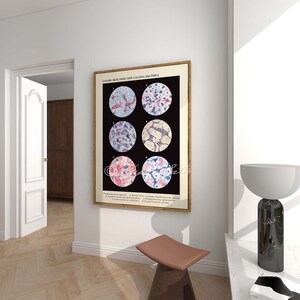 Canine Skin Infection Causing Bacteria Collection Vintage Style Art ...