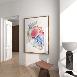 Feline Heart Anatomy Art Print Veterinary Decor Cat Cardiology Print ...