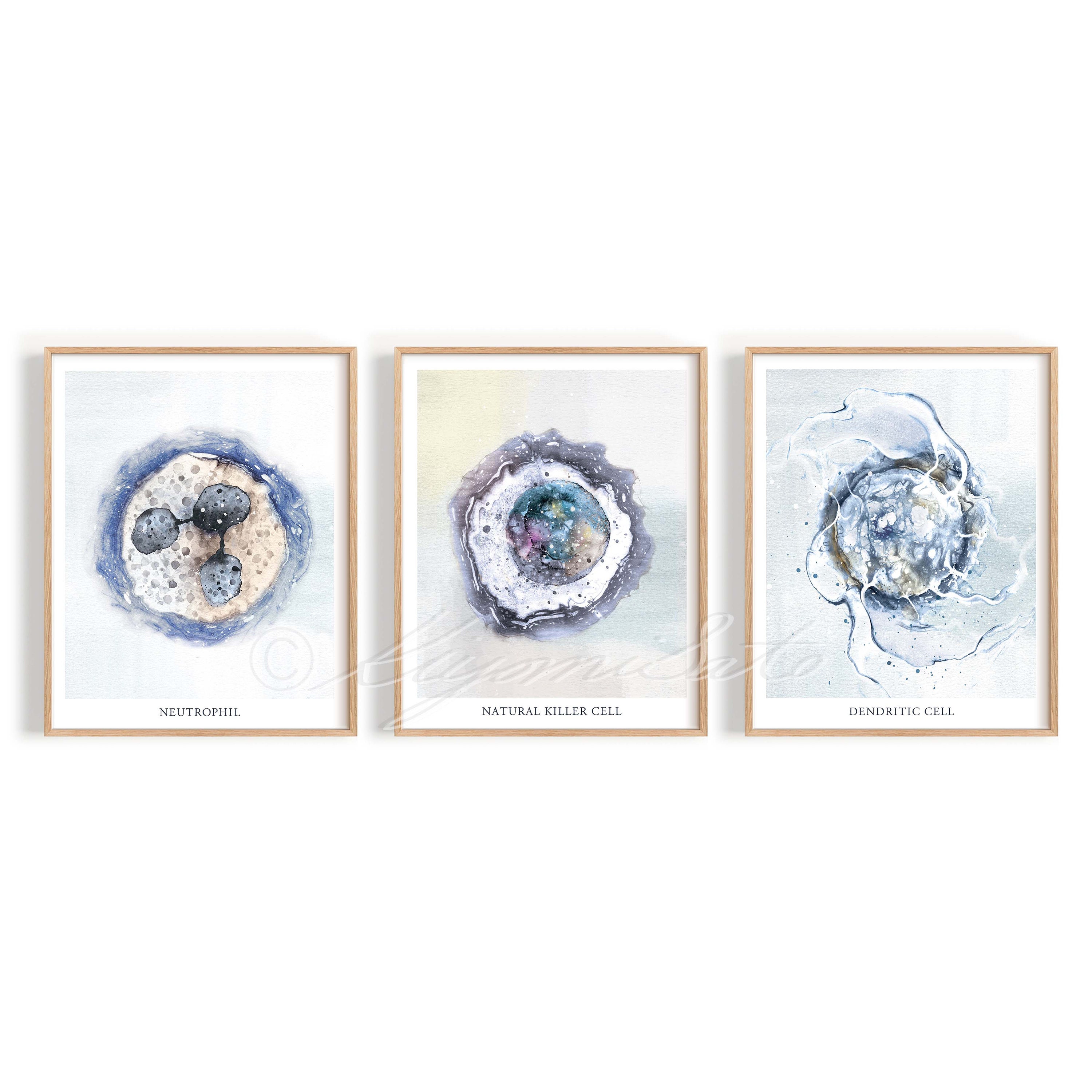 Neutrophil, Natural Killer Cell, Dendritic Cell Poster Set Immunology ...