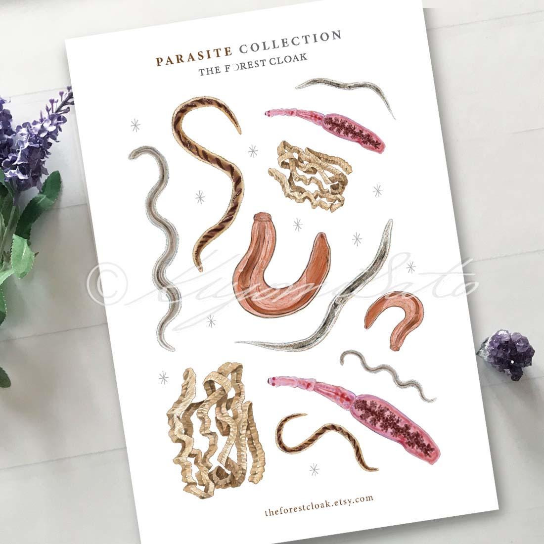 Parasite Sticker, Parasitology Sticker, Microbiology Stationery ...