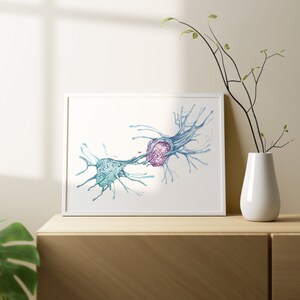 Two Natural Killer Cells Attacking Pathogen, Defensive Cells ...