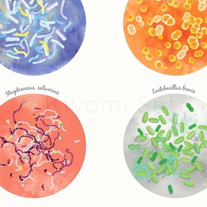 Beneficial Bacteria Collection, Probiotics Art Poster, Science Art ...