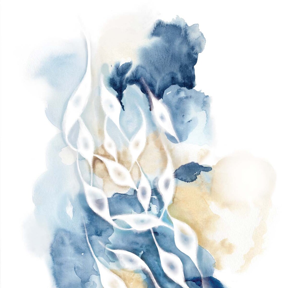 Stem Cells Blue Poster Set of 2 Science Art Print Biology - Etsy