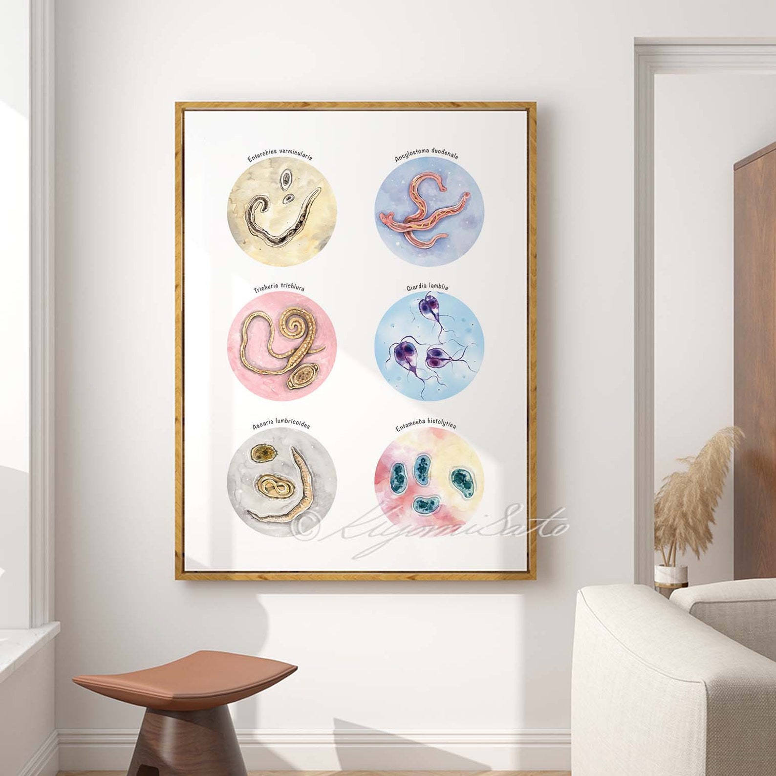 Intestinal Parasite Collection, Science Art Poster, Microbiology Print ...