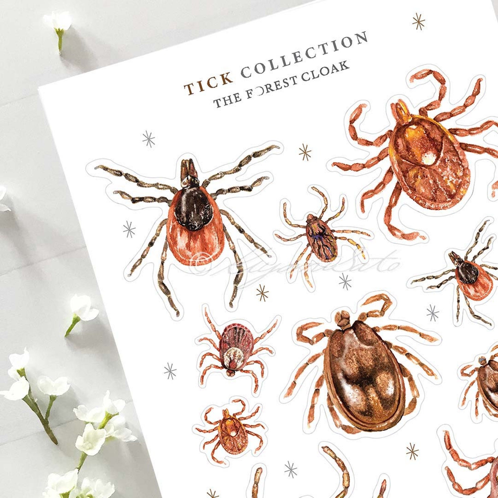 Tick Collection Sticker Sheet, Parasitology, Microbiology, Veterinary ...