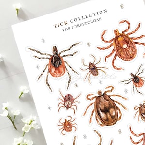 Tick Sticker, Parasite Sticker, Parasitology Sticker, Tick Collection ...