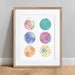 Bacterial Shape Collection Microbiology Poster Science Art - Etsy