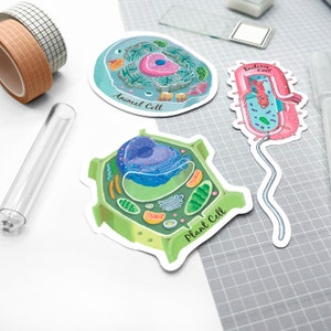 Cell Sticker Set of 3, Animal Cell, Bacteria Cell, Plant Cell Vinyl ...