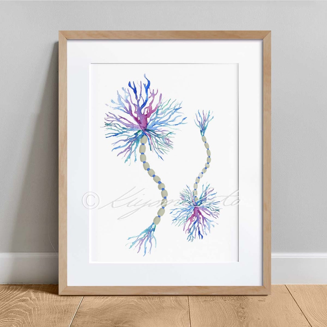 Neuron Poster, Science Art, Nervous System Print, Neurology Watercolor ...