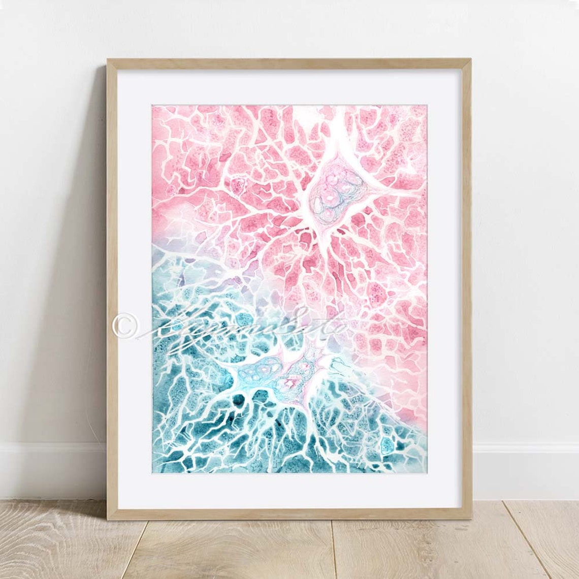 Pancreas Histology Art Science Art Decor Anatomy Watercolor - Etsy