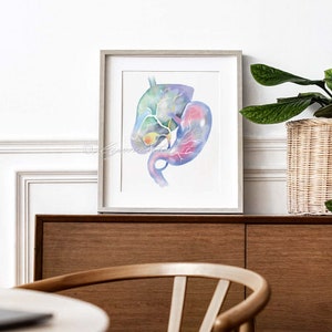 Feline Liver, Biliary Tract Anatomy Art Print, Veterinary Decor, Cat ...