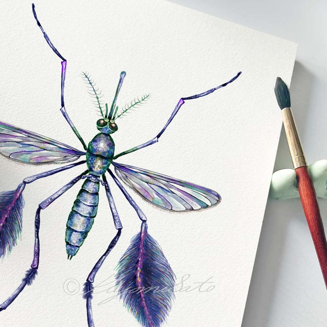 Sabethes Cyaneus Mosquito Poster, Science Art, Microbiology Art, Vector ...