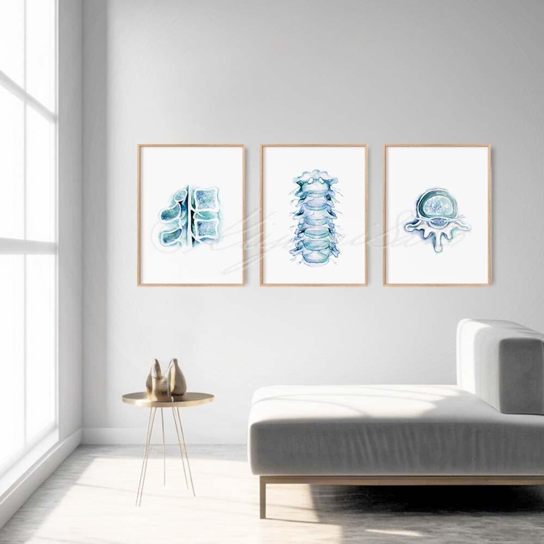 Spinal Nerves Art Posters Set of 3, Orthopedics Art Collection, Science ...