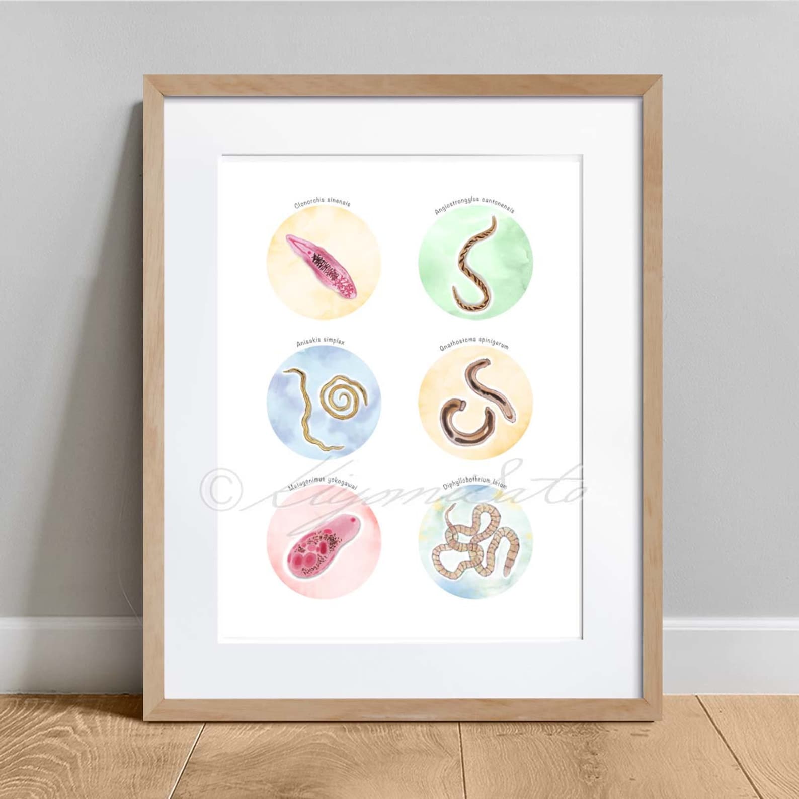 Fish Borne Parasites Collection, Parasite Science Art Print ...