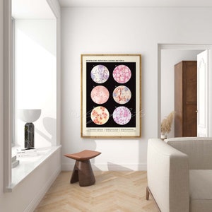 Respiratory Infection Causing Bacteria Collection Vintage Style Science ...