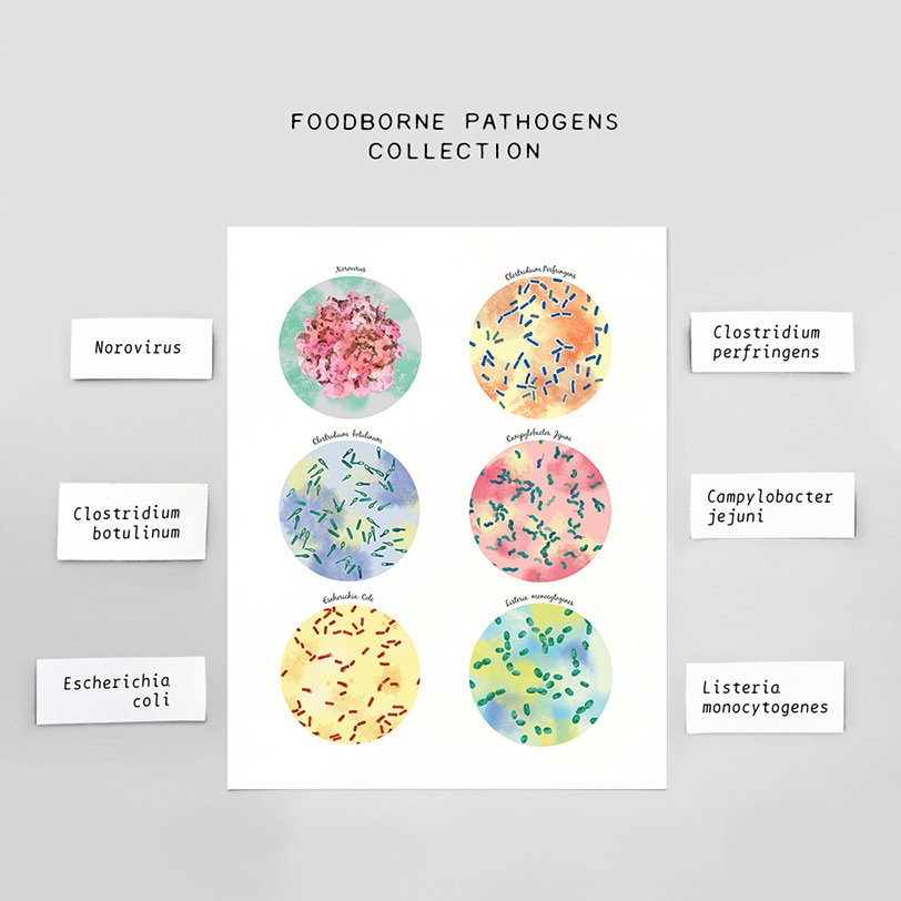 Foodborne Pathogens Collection Poster Bacteria Science Art - Etsy UK