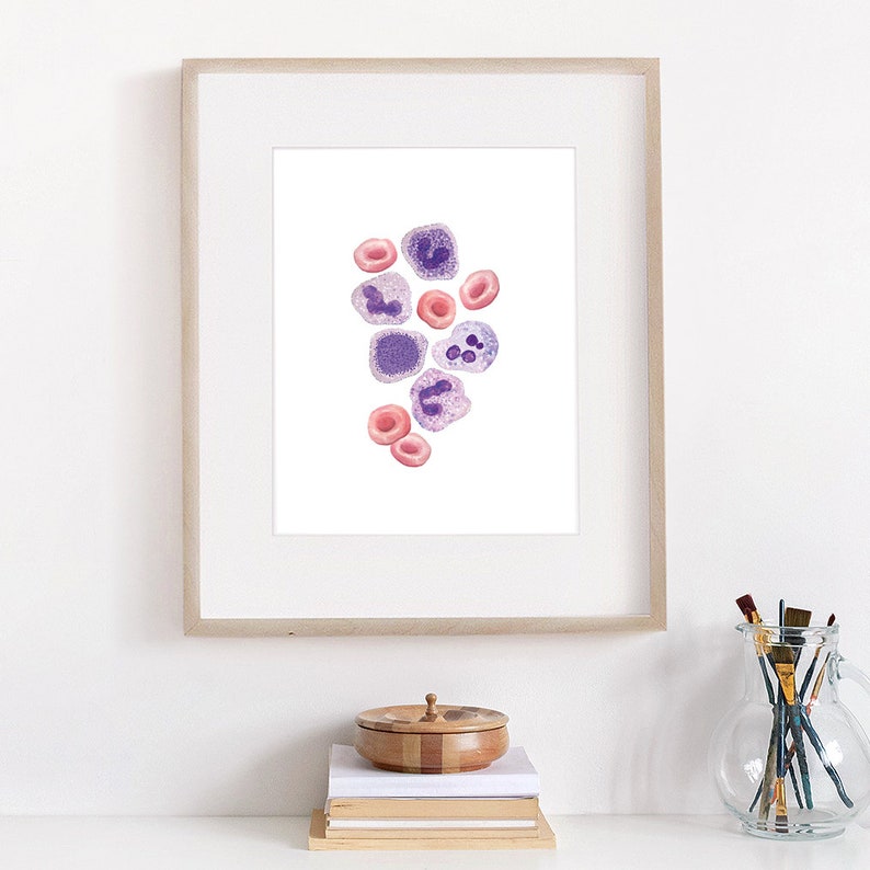 Blood Cells Biology Poster Science Art Print Red Blood - Etsy