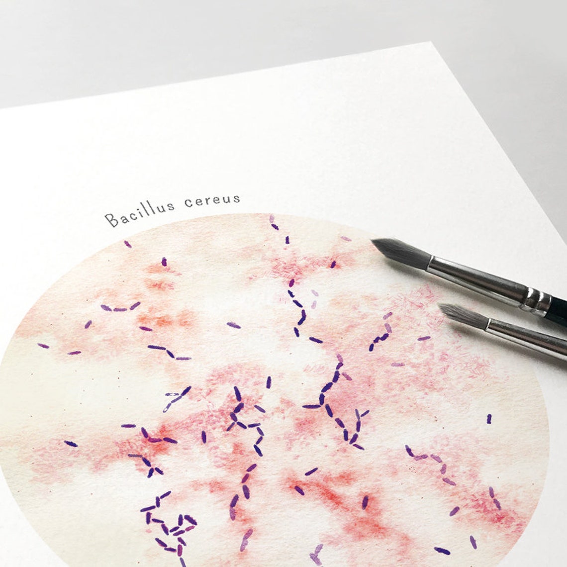 Bacillus Cereus Science Art Print Bacteria Poster - Etsy