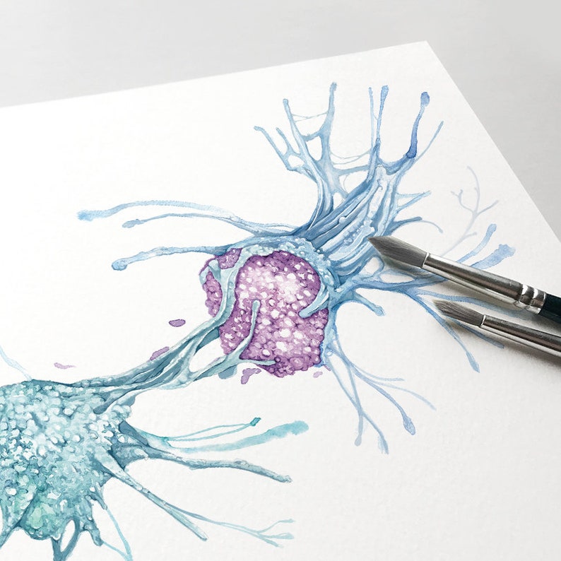 Two Natural Killer Cells Attacking Pathogen Science Art - Etsy