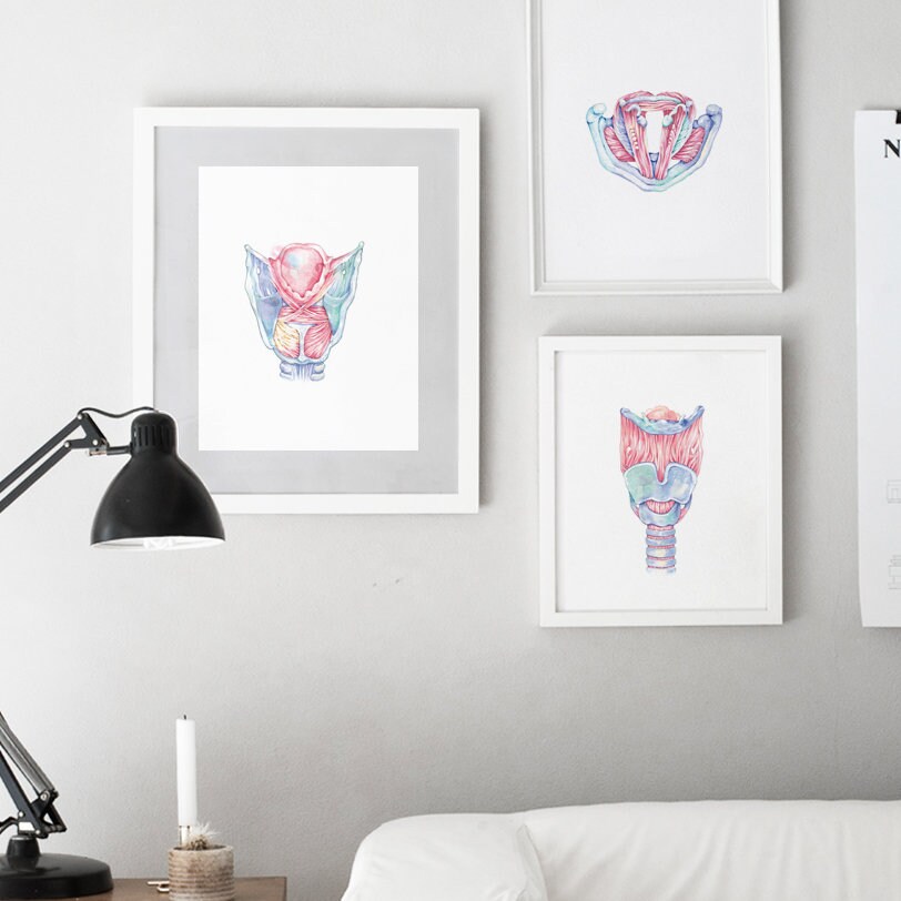 Laryngeal Muscles Posterior View Speech Language Pathology - Etsy