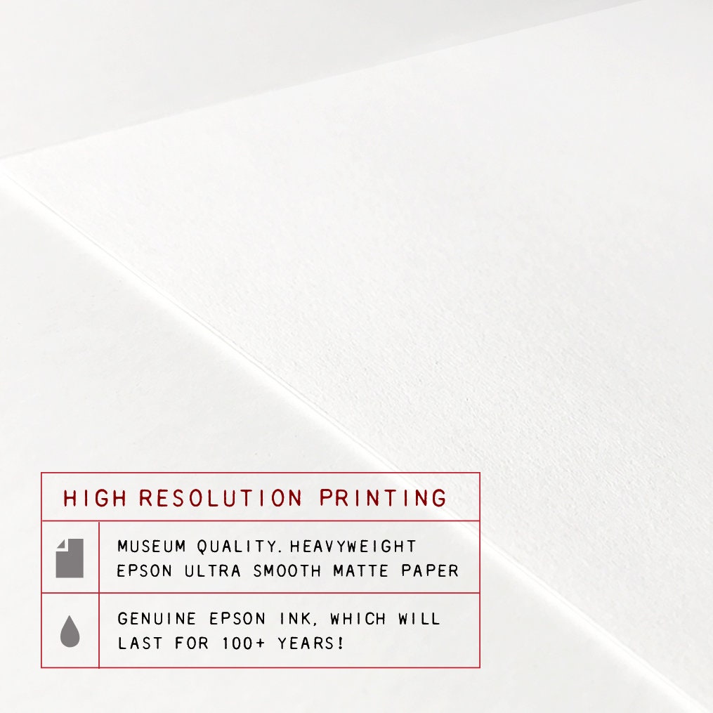 Potassium Electron Shells Poster art print wall decor 8.5 x | Etsy