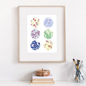 Bacteria Science Art Poster Science Print Wall Decor, Microbiology ...