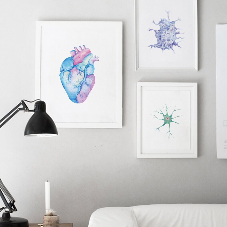 Anatomical Heart Poster in Blue Science Art Cardiovascular - Etsy