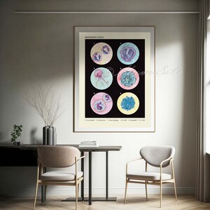 Defensive Cells, Vintage Style Microbiology Poster, Science Art Print ...