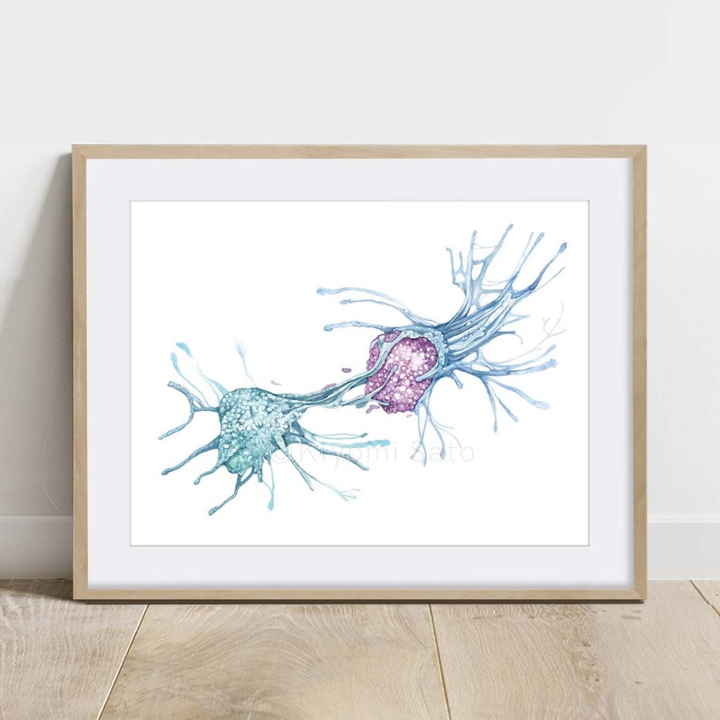 Two Natural Killer Cells Attacking Pathogen Defensive Cells - Etsy