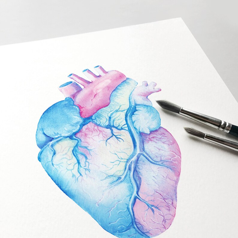 Anatomical Heart Poster in Blue Science Art Cardiovascular - Etsy