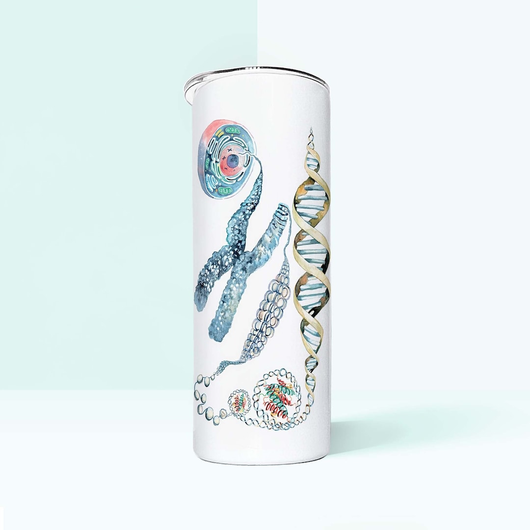 Cell to DNA Tumbler 20 Oz, Slim Stainless Steel Insulated Tumbler ...