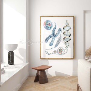 Cell to DNA Art Print, Chromosomes Art Poster, DNA, Genetics Art Decor ...