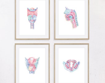Slp Anatomy Poster - Etsy