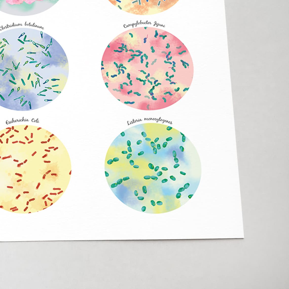 Foodborne Pathogens Collection Poster Bacteria Science Art - Etsy