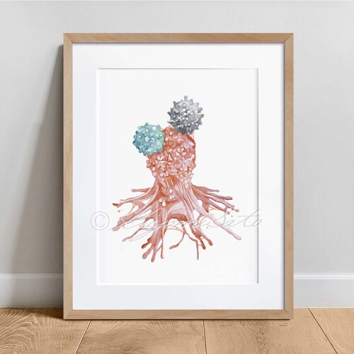 Cancer Cell Science Art Print Histology Poster Anatomy Art - Etsy