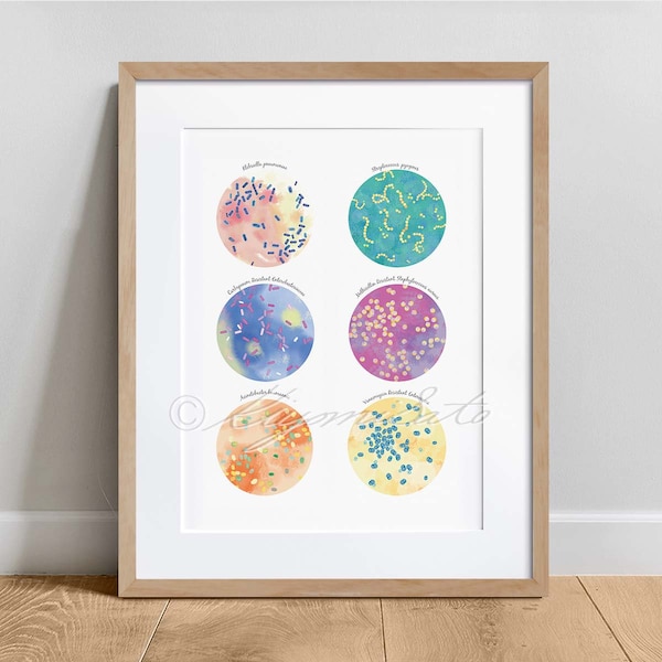 Bacteria Art - Etsy
