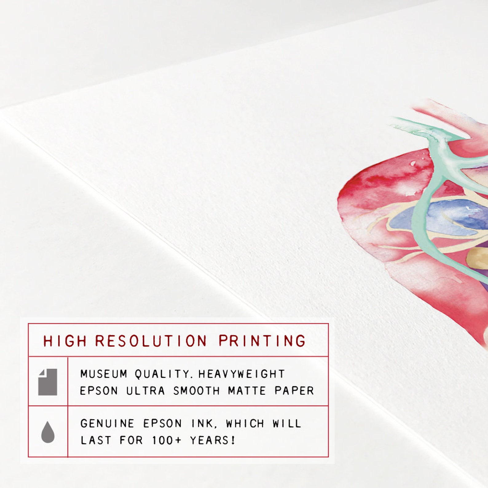 Human Liver Watercolor Painting Poster, Science Art, Biology Anatomy ...