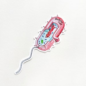 Cell Sticker Set of 3, Animal Cell, Bacteria Cell, Plant Cell Vinyl ...