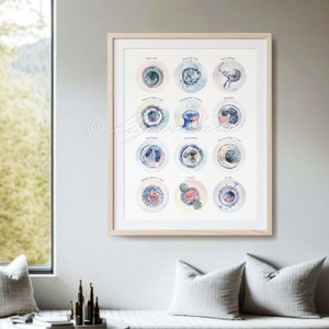 Immune System Collection Art Print, Immunology Poster White Blood Cell ...