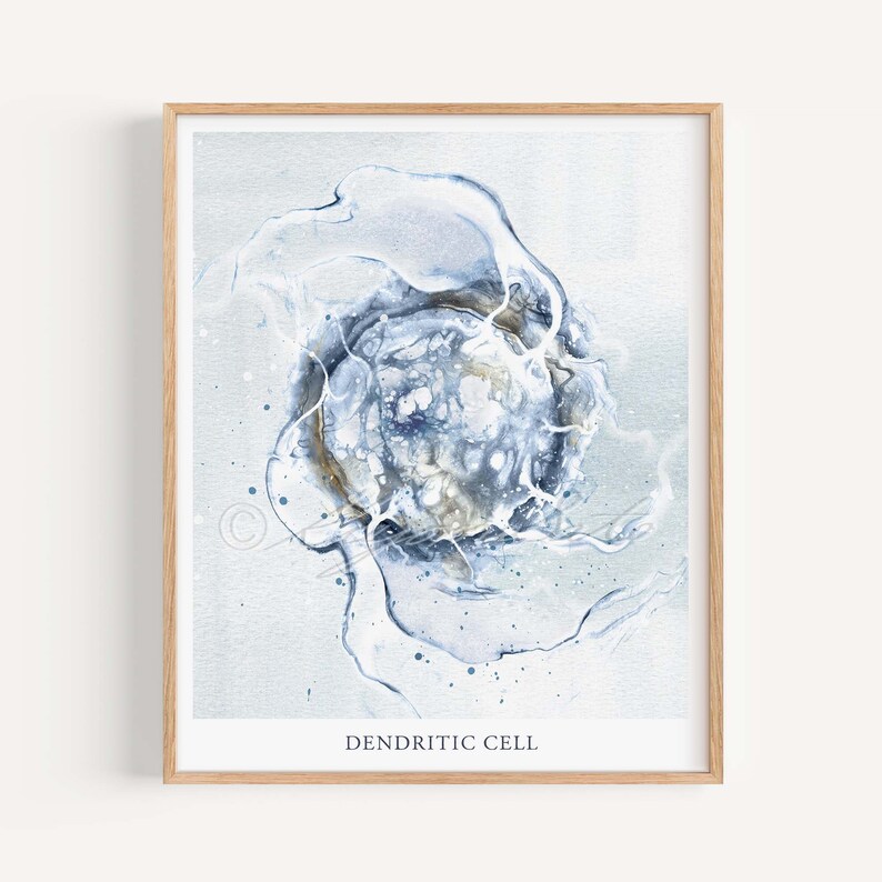 Dendritic Cell Innate Immunity Art Print Cytology Microbiology ...