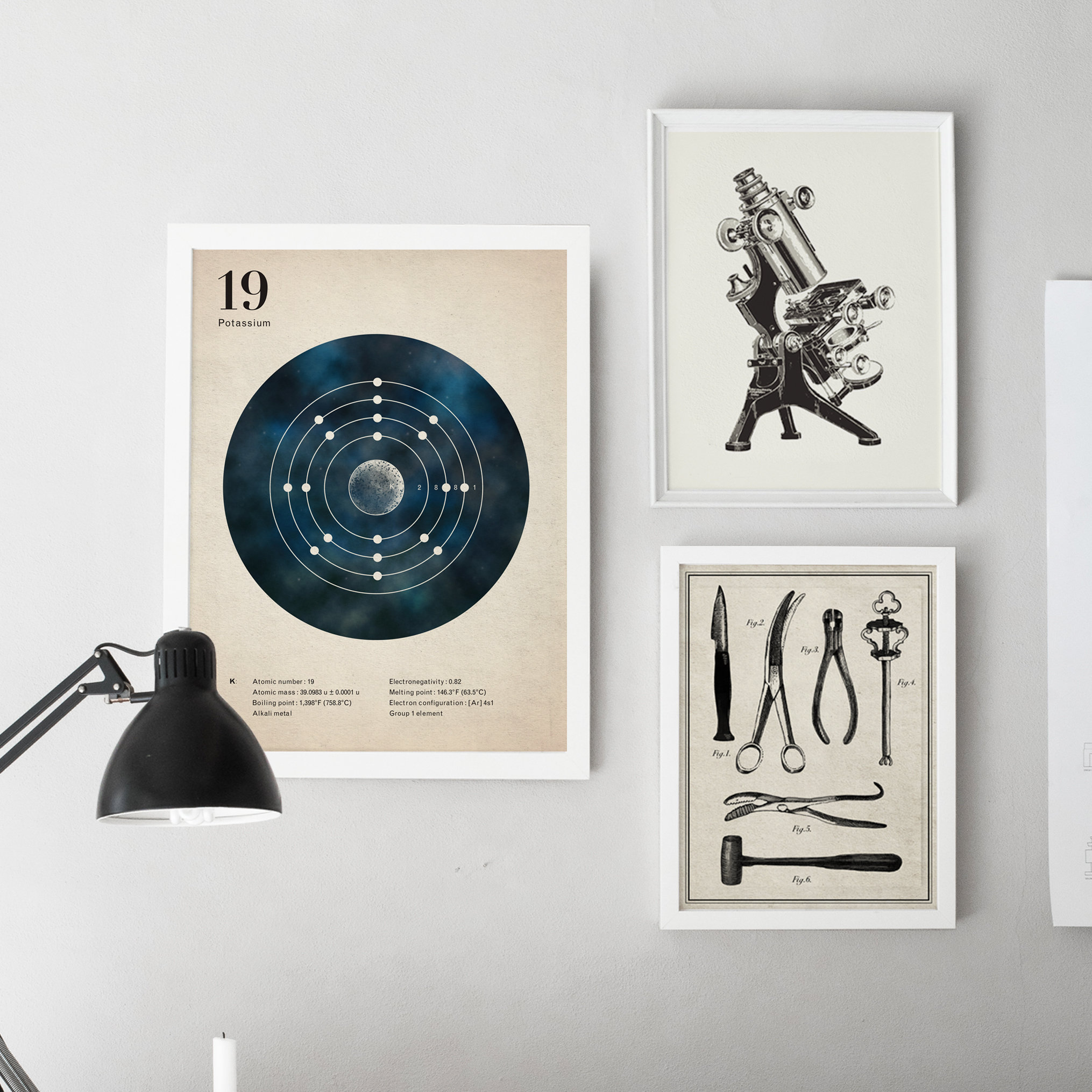 Potassium Electron Shells Poster art print wall decor 8.5 x | Etsy