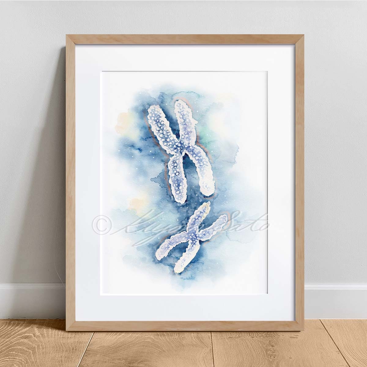 Set of 4 Genetics Posters, DNA, RNA, DNA Spiral, Chromosomes Science ...