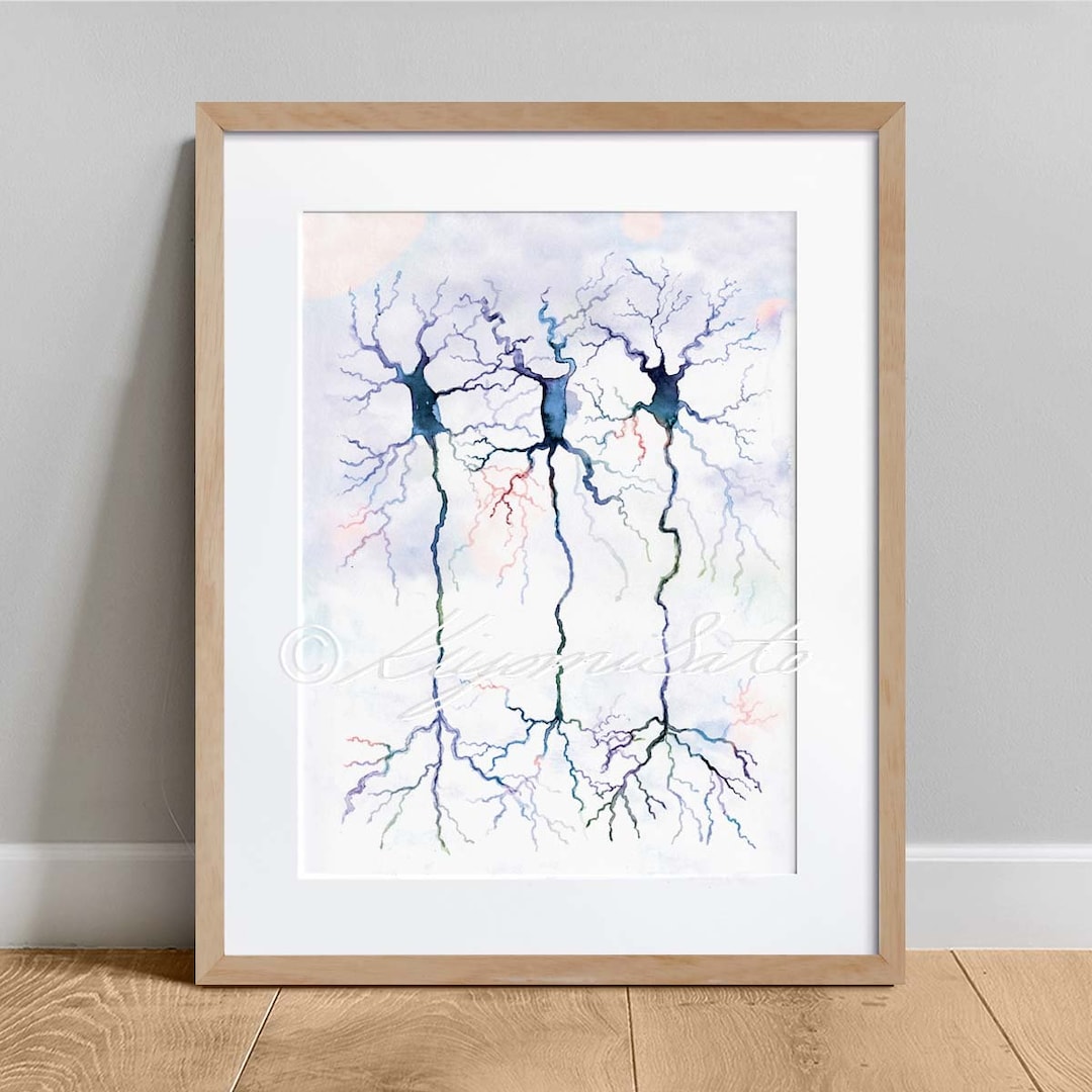 Neurons Cerebral Cortex Science Art Print Anatomy Watercolor Neurology ...