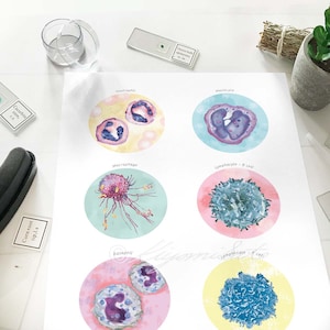 Defensive Cells, Immune System Collection, Microbiology Art Poster ...